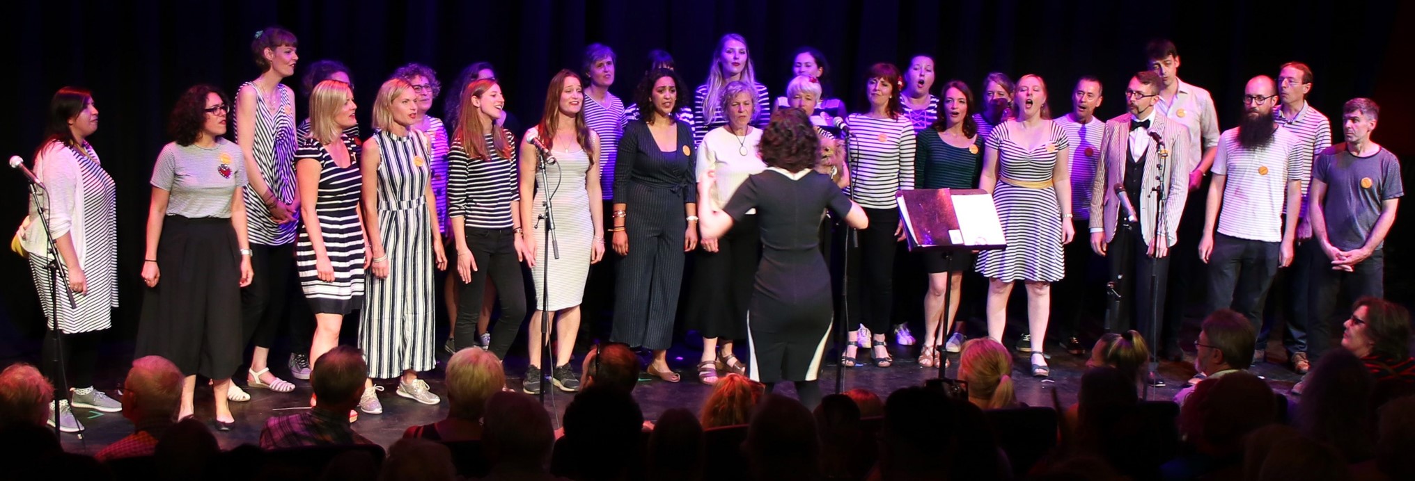 Book the choir – Brighton Swing Choir